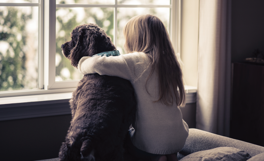 Catálogo – Biozoo