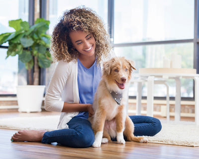 Catálogo – Biozoo